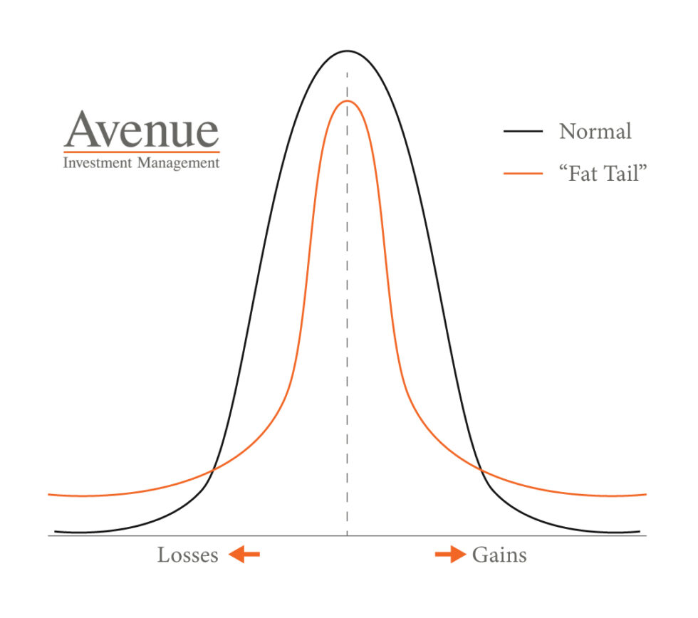 Fat Tail Risk | Avenue Investment Management